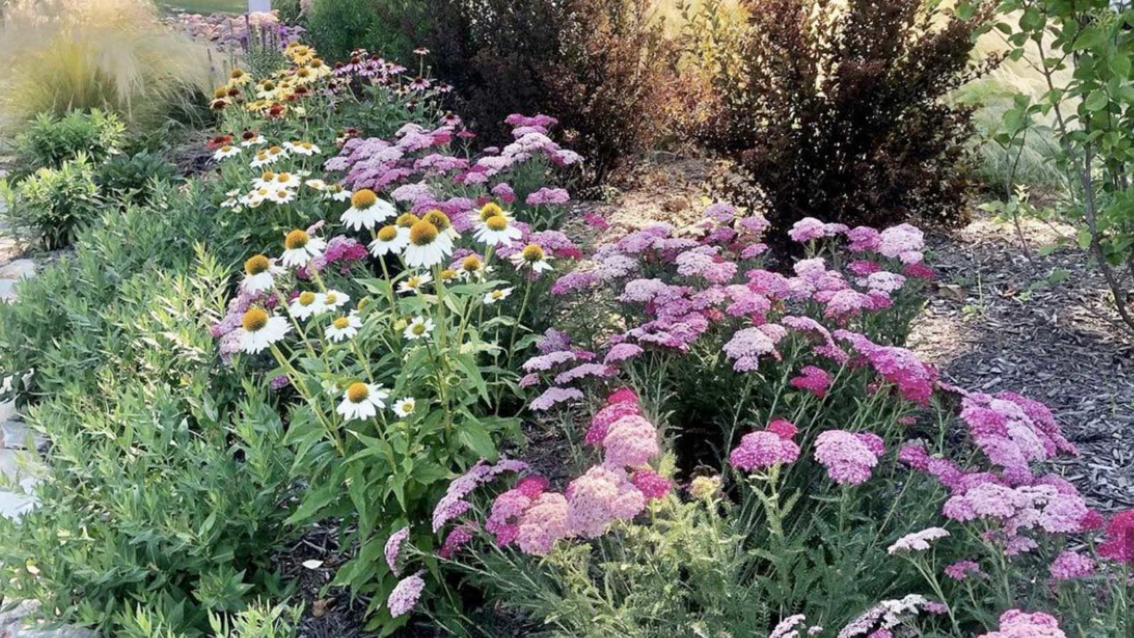 EcoLandscapes Design – SHIFT