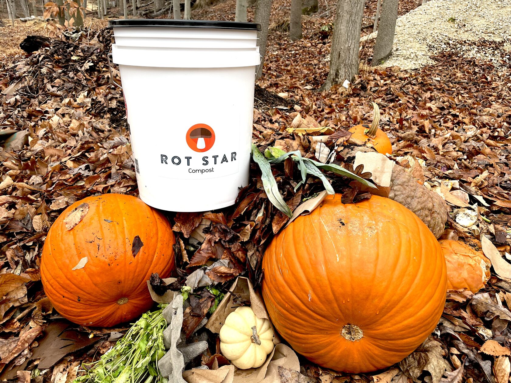 Rot Star Compost – SHIFT